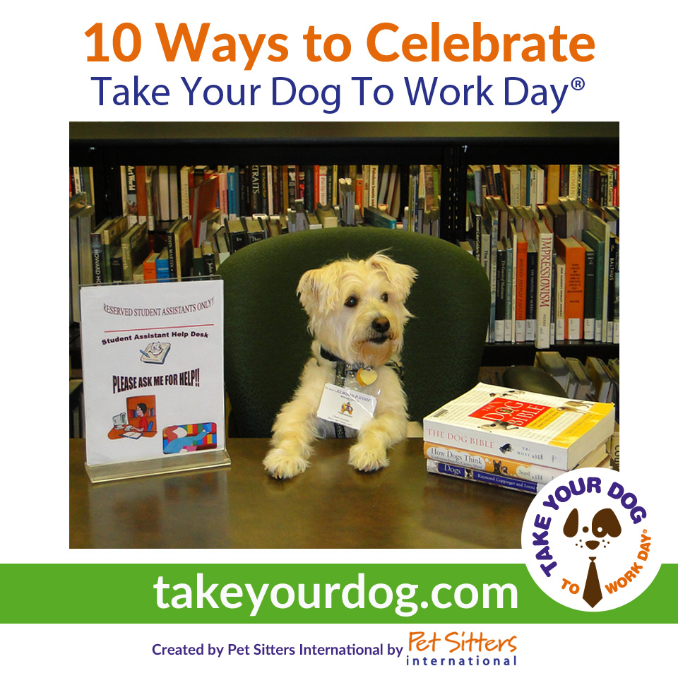 Ways to celebrate Take Your Dog To Work Day | Take Your Dog To Work Day ...