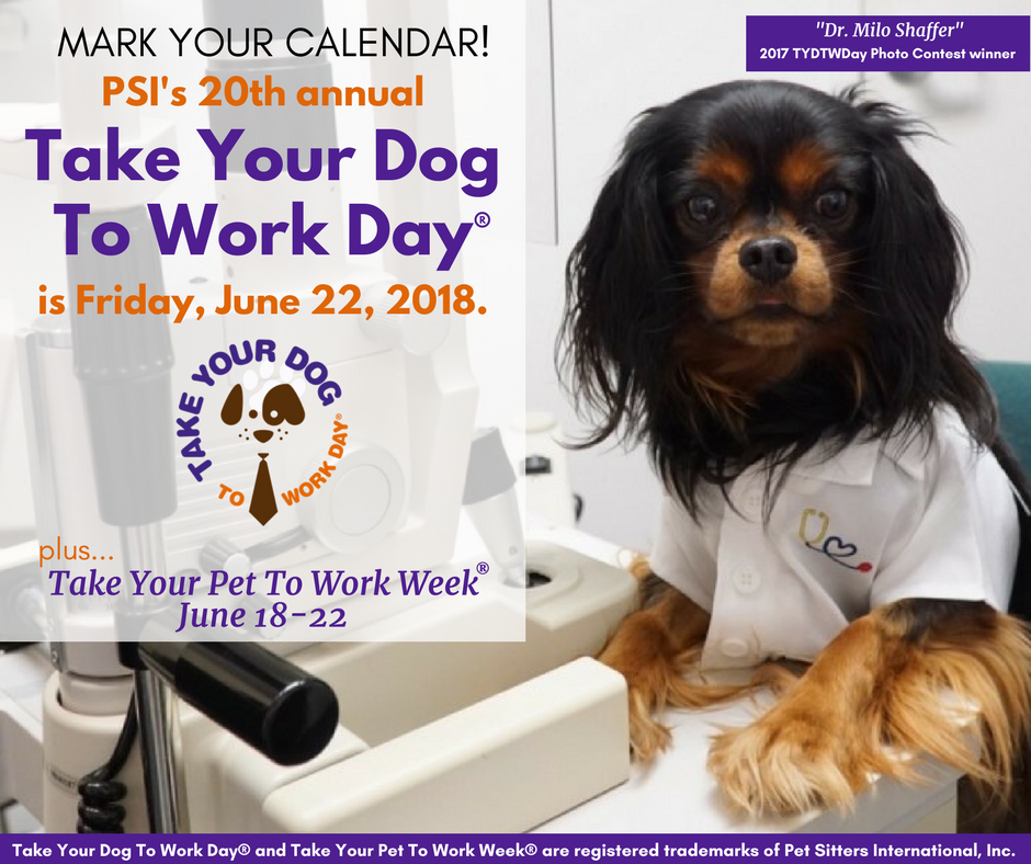 Take Your Dog To Work Day | Pet Sitters International's Take Your Dog ...