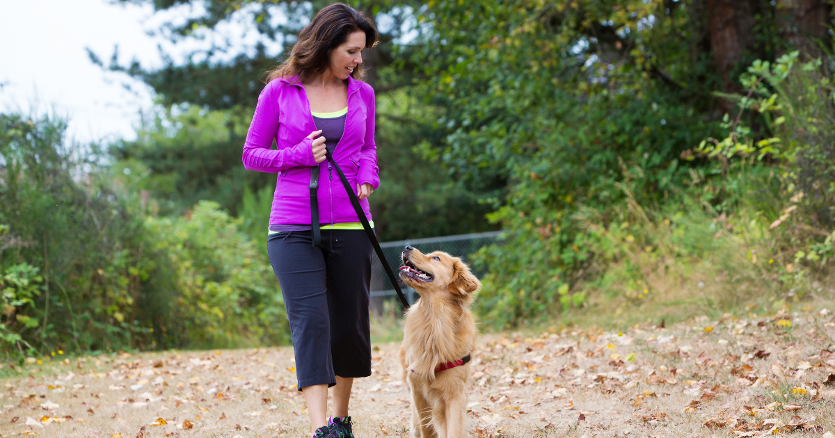 3 tips for giving the best dog walk possible
