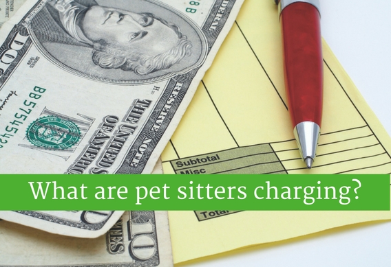 Setting Your Pet-Sitting Rates