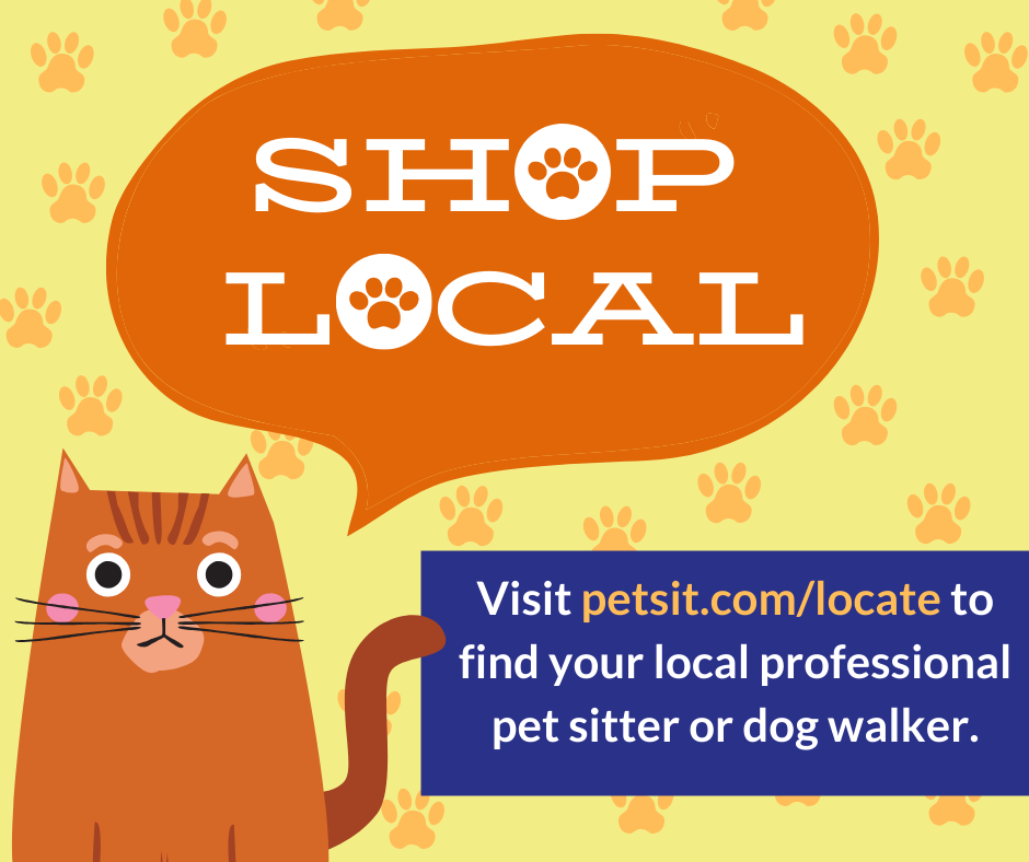 3 reasons your local professional pet sitter is your best pet-care option